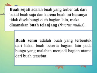Buah | PPTX