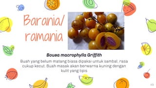 Buah Ramania