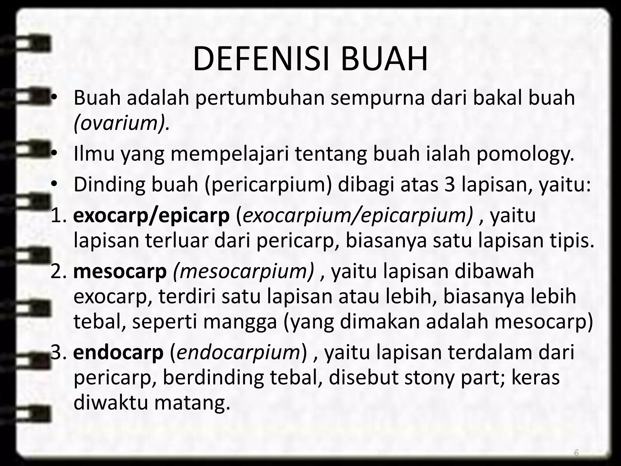Buah | PPTX