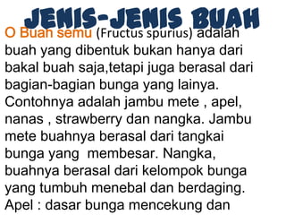 Buah | PPTX