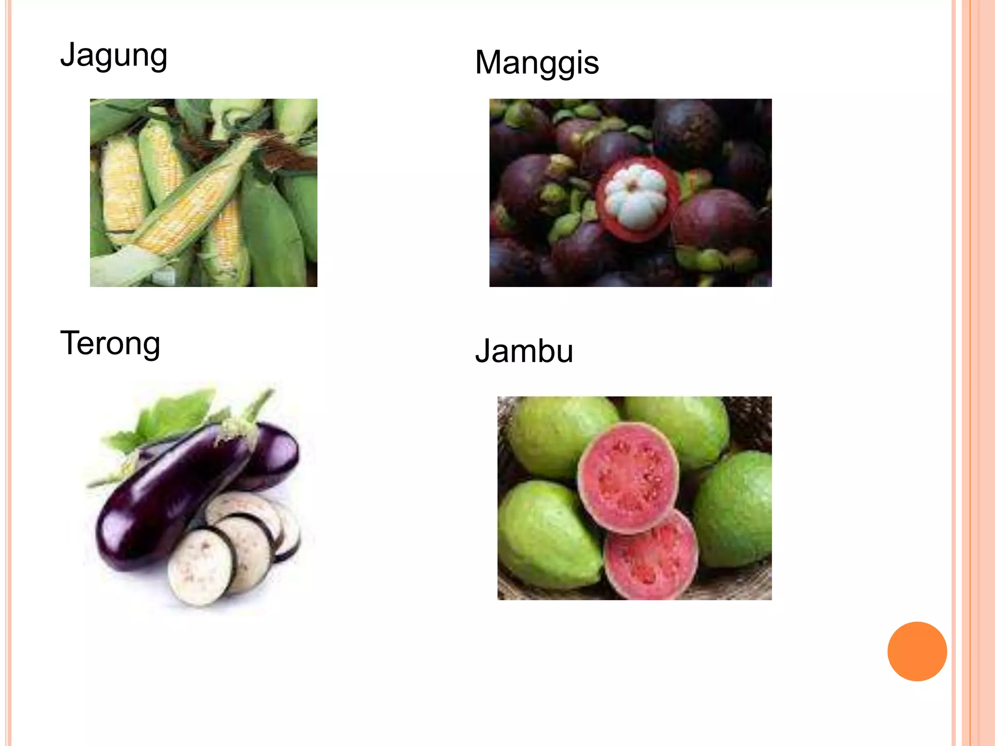 Buah _biji | PPTX