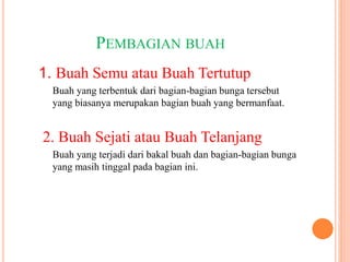 Buah _biji | PPTX