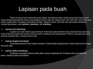 Buah_dan_biji[1]....................pptx