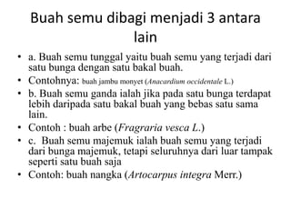 Struktur pertumbuhan dan perkembangan buah dan bijipptx | PPTX