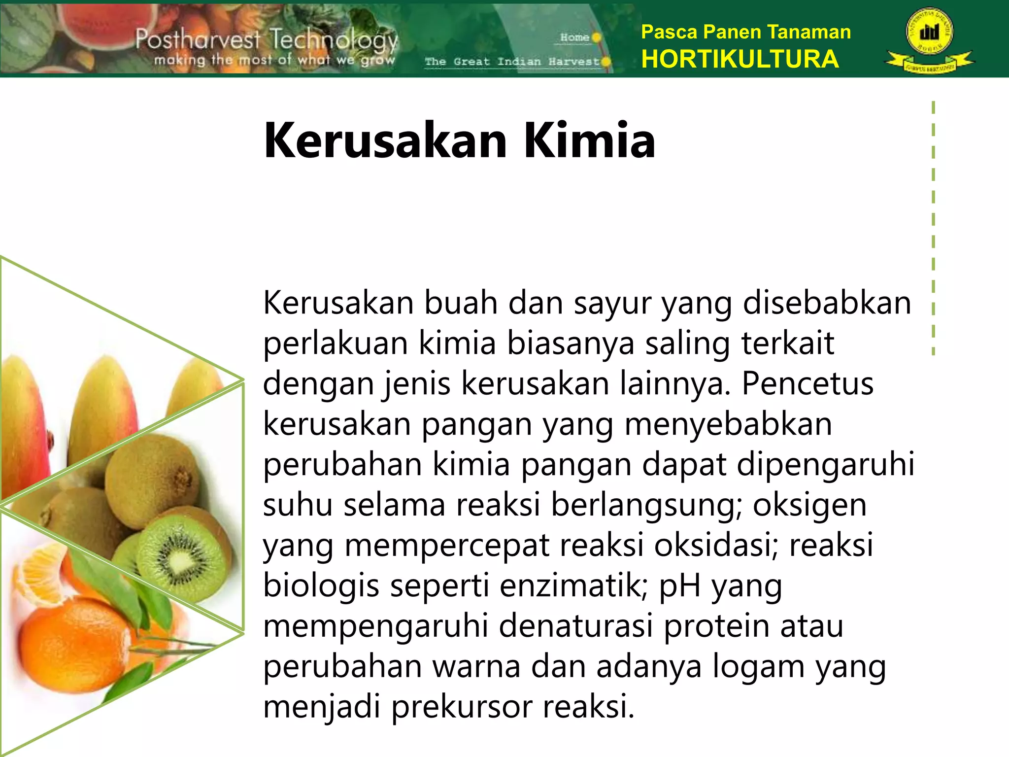 Pascapanen Buah dan Sayur | PPTX