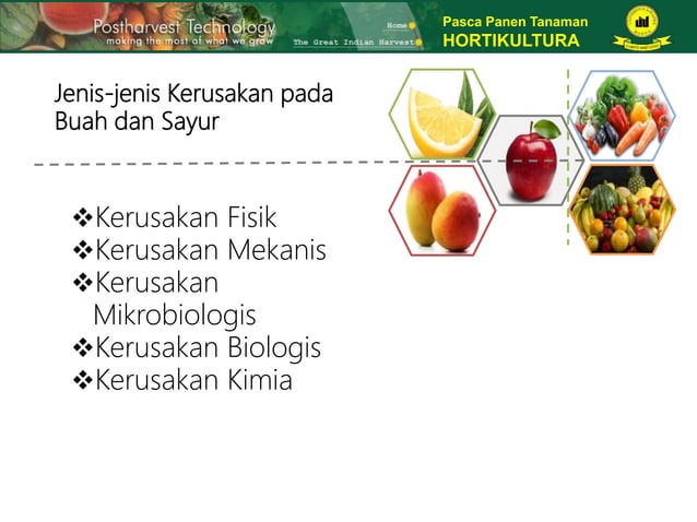 Pascapanen Buah dan Sayur | PPTX