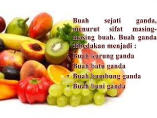 Buah (fructus) | PPTX