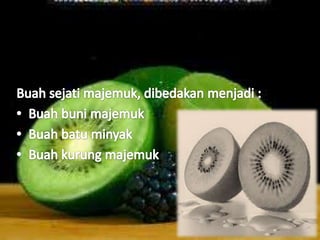 Buah (fructus) | PPTX