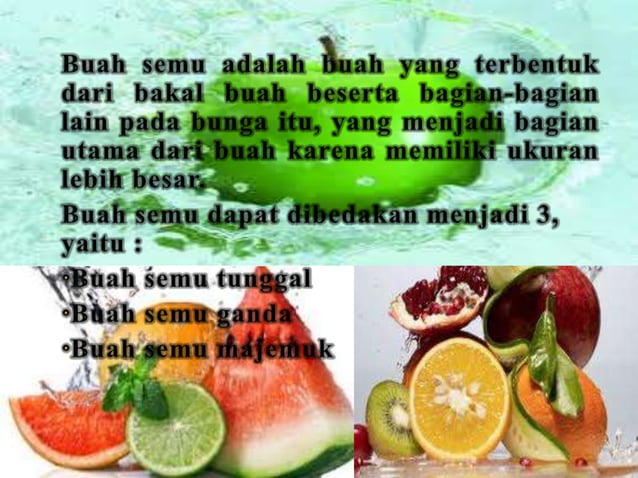 Buah (fructus) | PPTX