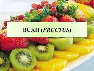 Buah (fructus) | PPTX