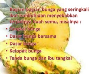 Buah (fructus) | PPTX