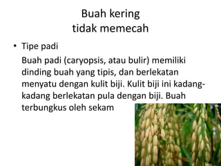 pengertian Buah (fructus) | PPTX