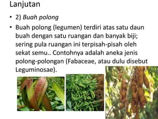 pengertian Buah (fructus) | PPTX