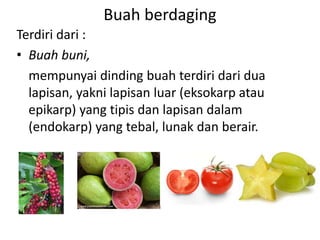 pengertian Buah (fructus) | PPTX