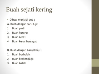 Buah (fructus) | PDF