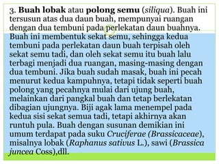 TUGAS TIK BUAH | PPTX