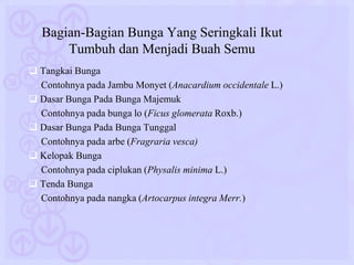Buah | PPTX