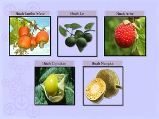 Buah | PPTX