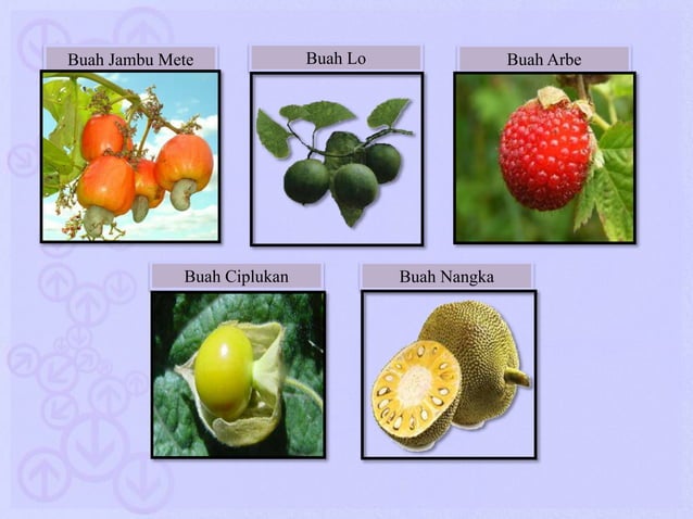 Buah | PPTX