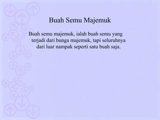 Buah | PPTX