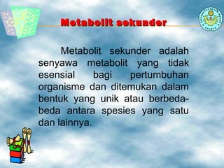 metabolit sekunder pada daun buas buas | PPT