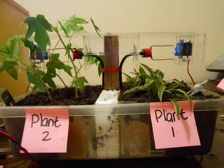 Prototype Alat Penyiram Tanaman Otomatis dan Pengontrol Level Air ...