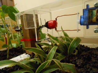 Prototype Alat Penyiram Tanaman Otomatis dan Pengontrol Level Air ...