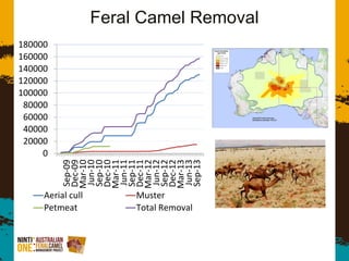 Andrew Bubb: 'Establishing the environmental assessment framework and ...