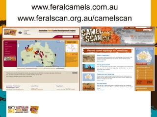 Andrew Bubb: 'Establishing the environmental assessment framework and ...