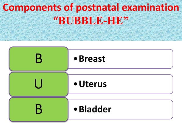 Postnatal Mother Examination - BUBBLE-HE | PPTX