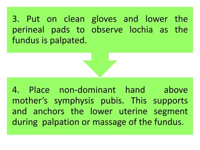Postnatal Mother Examination - BUBBLE-HE | PPTX