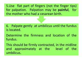 Postnatal Mother Examination - BUBBLE-HE | PPTX
