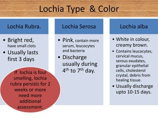 Postnatal Mother Examination - BUBBLE-HE | PPTX