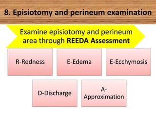 Postnatal Mother Examination - BUBBLE-HE | PPTX