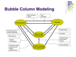 Bubble Column Reactors | PDF