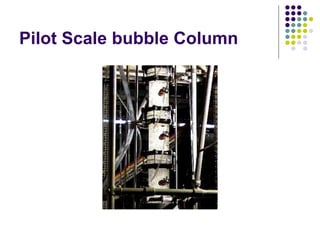 Bubble Column Reactors | PDF