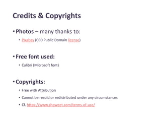 Bubbler template-showeet(standard) | PPTX