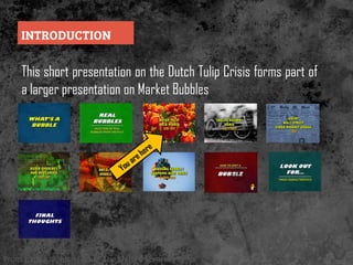 Bubble Spotting - Dutch Tulip Mania | PDF