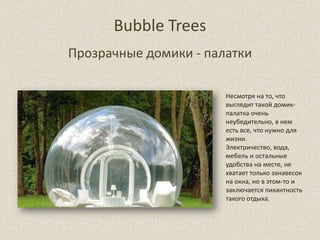 Bubble trees | PPT
