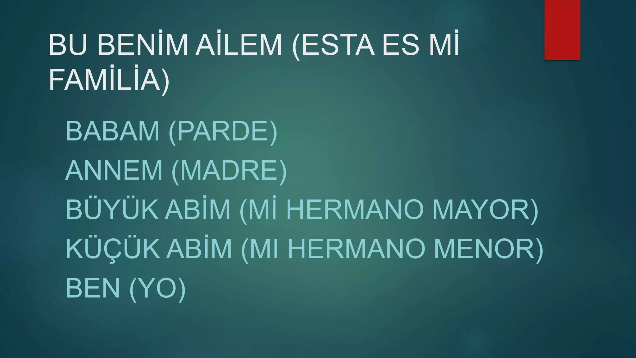 La familia - aile | PPTX
