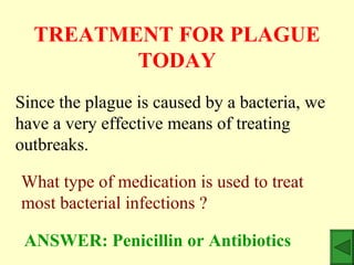 Bubonicplague | PPT | Infectious Diseases | Diseases and Conditions