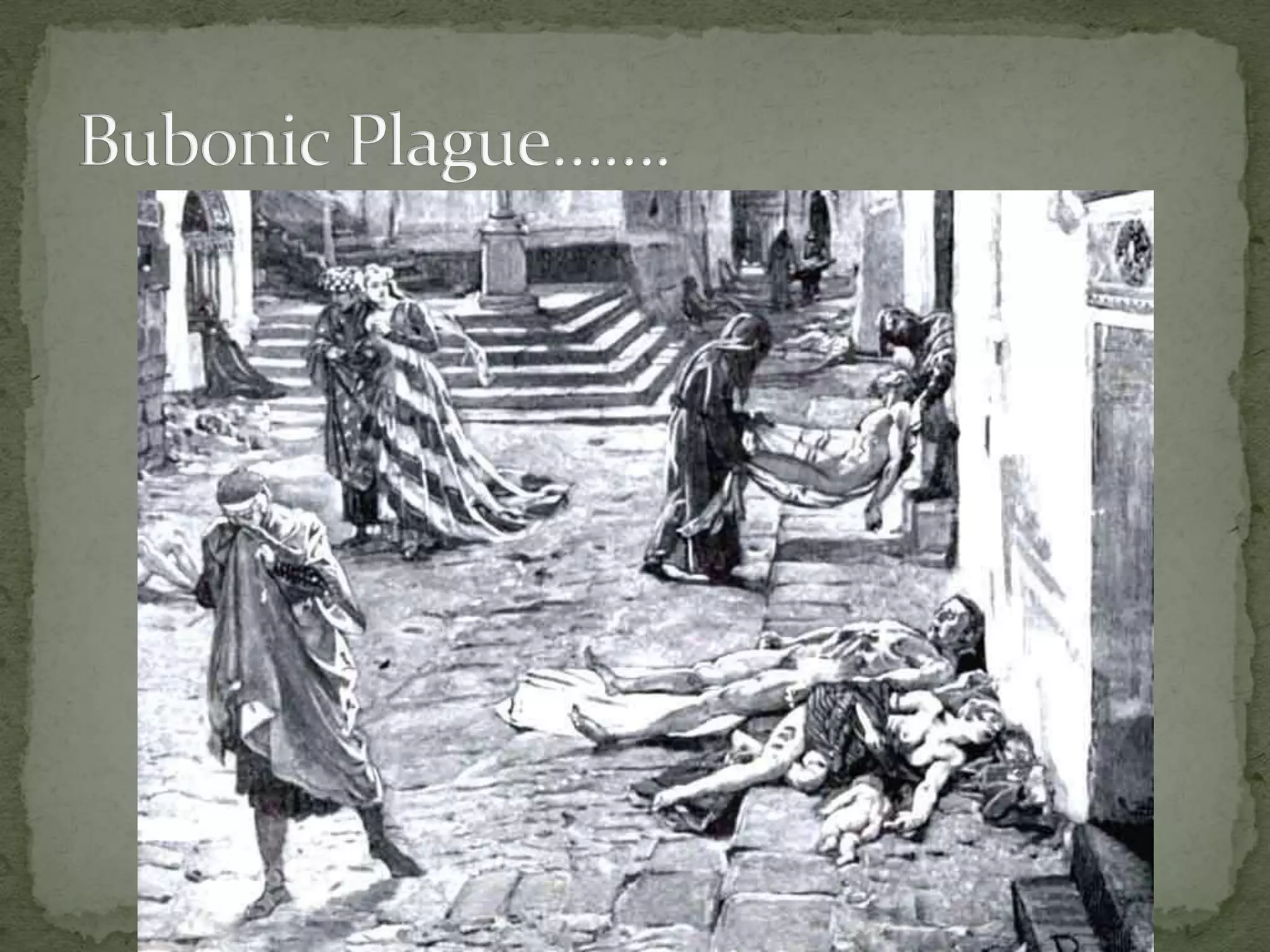 Bubonic plague | PPTX