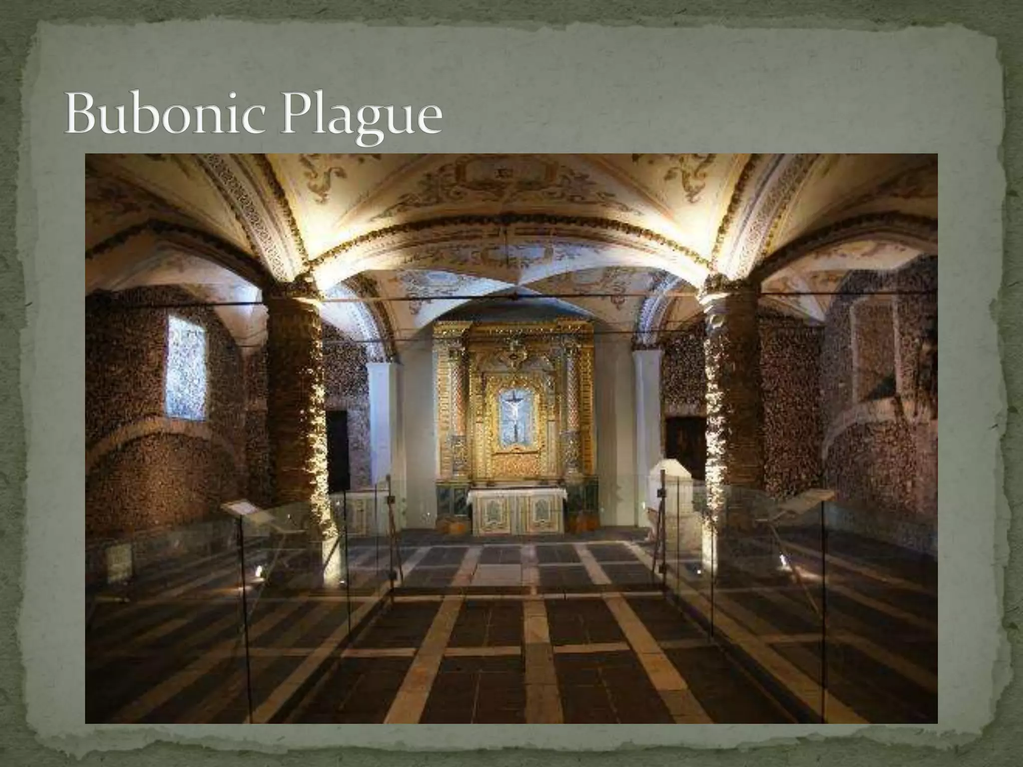 Bubonic plague | PPT