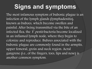 Bubonic plague | PPTX