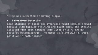 Bubonic Plague caused by the bacterium Yersinia pestis | PPTX