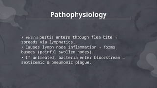 Bubonic Plague caused by the bacterium Yersinia pestis | PPTX