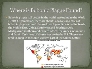 Bubonic plague | PPTX