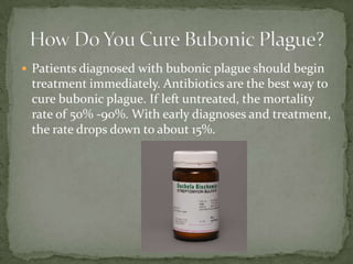 Bubonic plague | PPTX