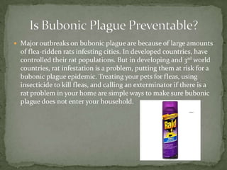 Bubonic plague | PPTX