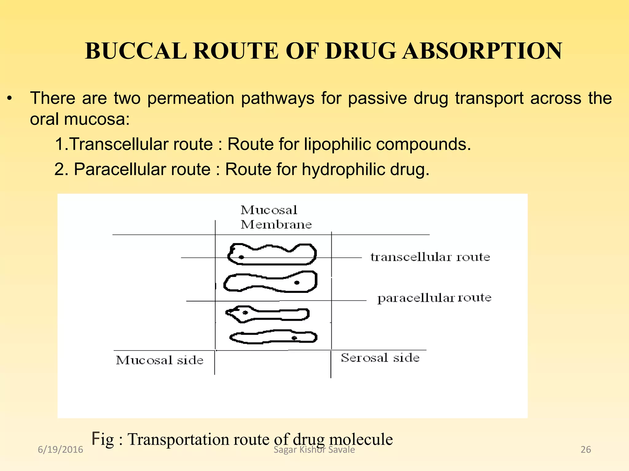 Buccal and sublingual drug delivery system | PPTX